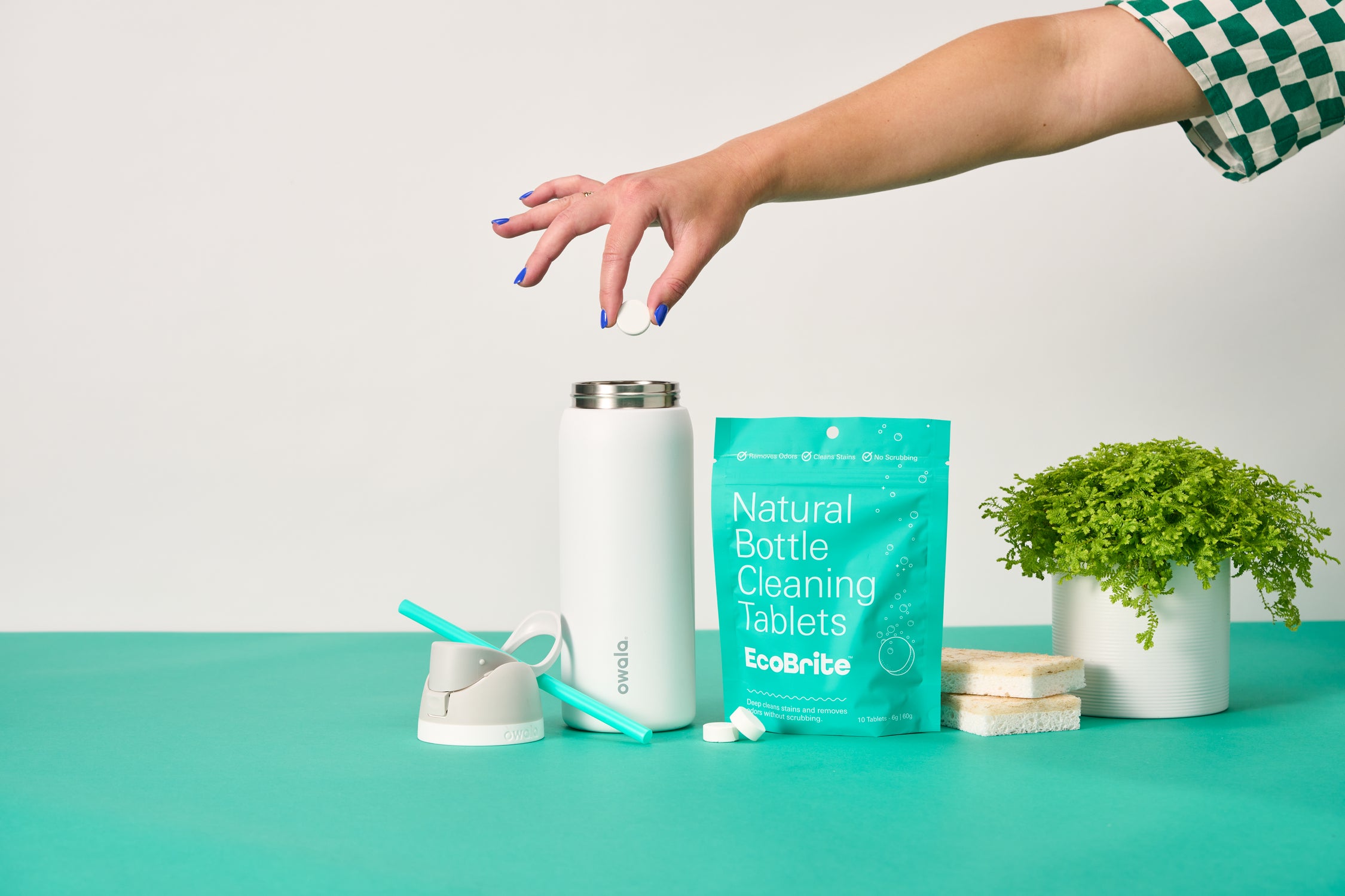 All Natural Bottle Cleaner | EcoBrite