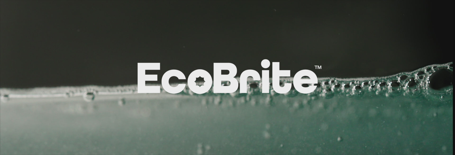 All Natural Bottle Cleaner | EcoBrite